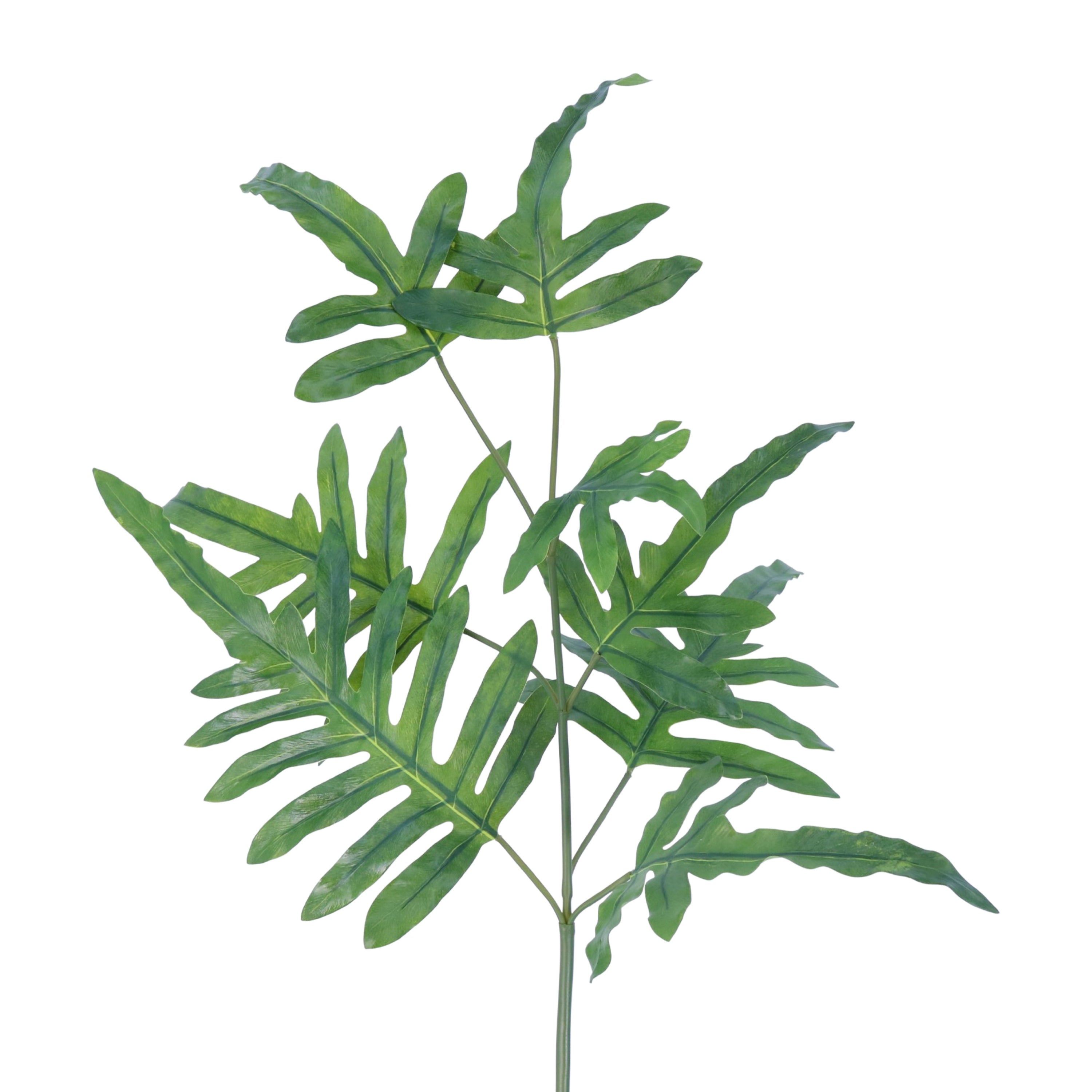Green Import Limited Canada