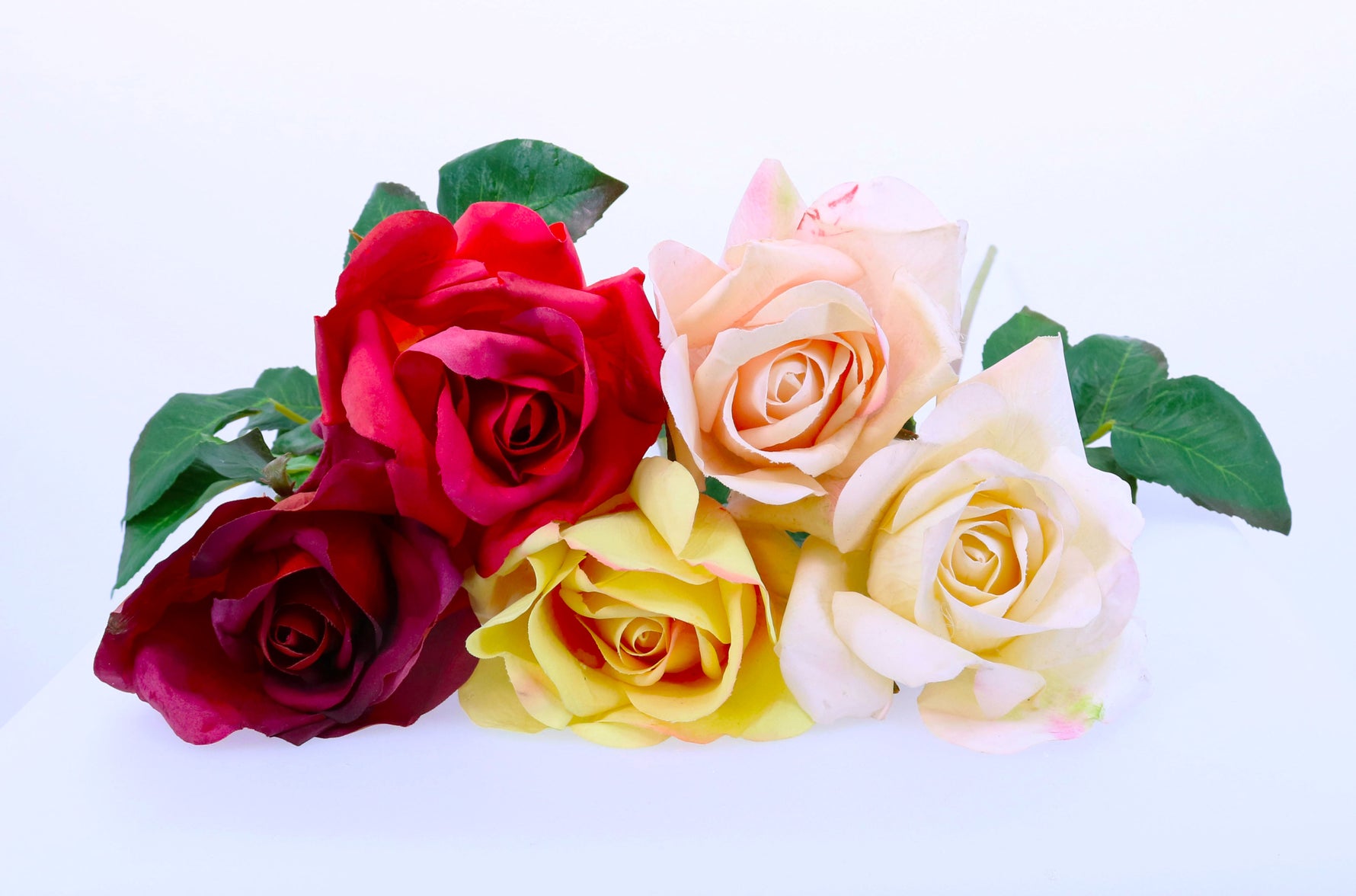 Green Import Limited Canada