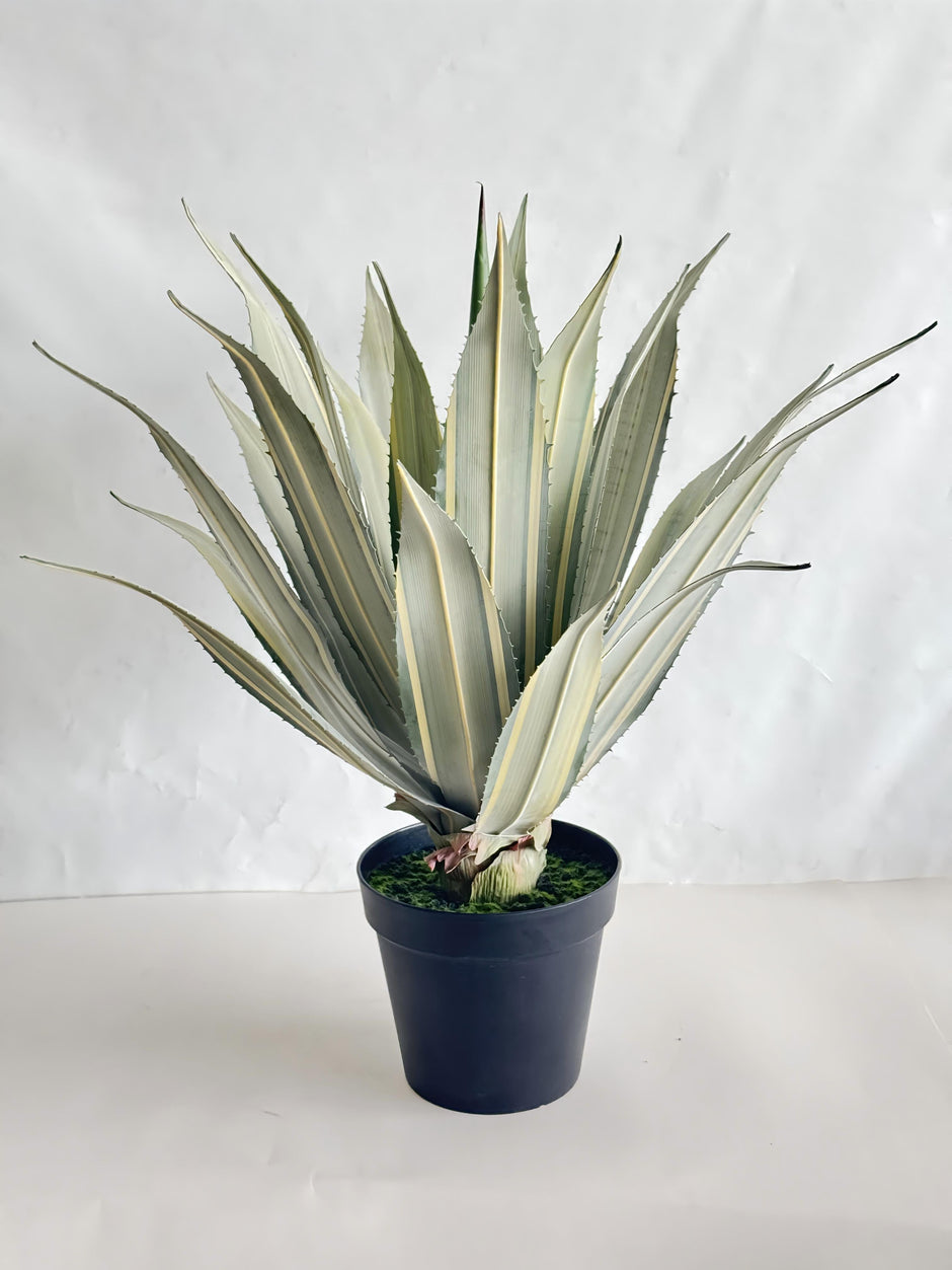 Urns, Planters & Pots – Green Import Limited Canada